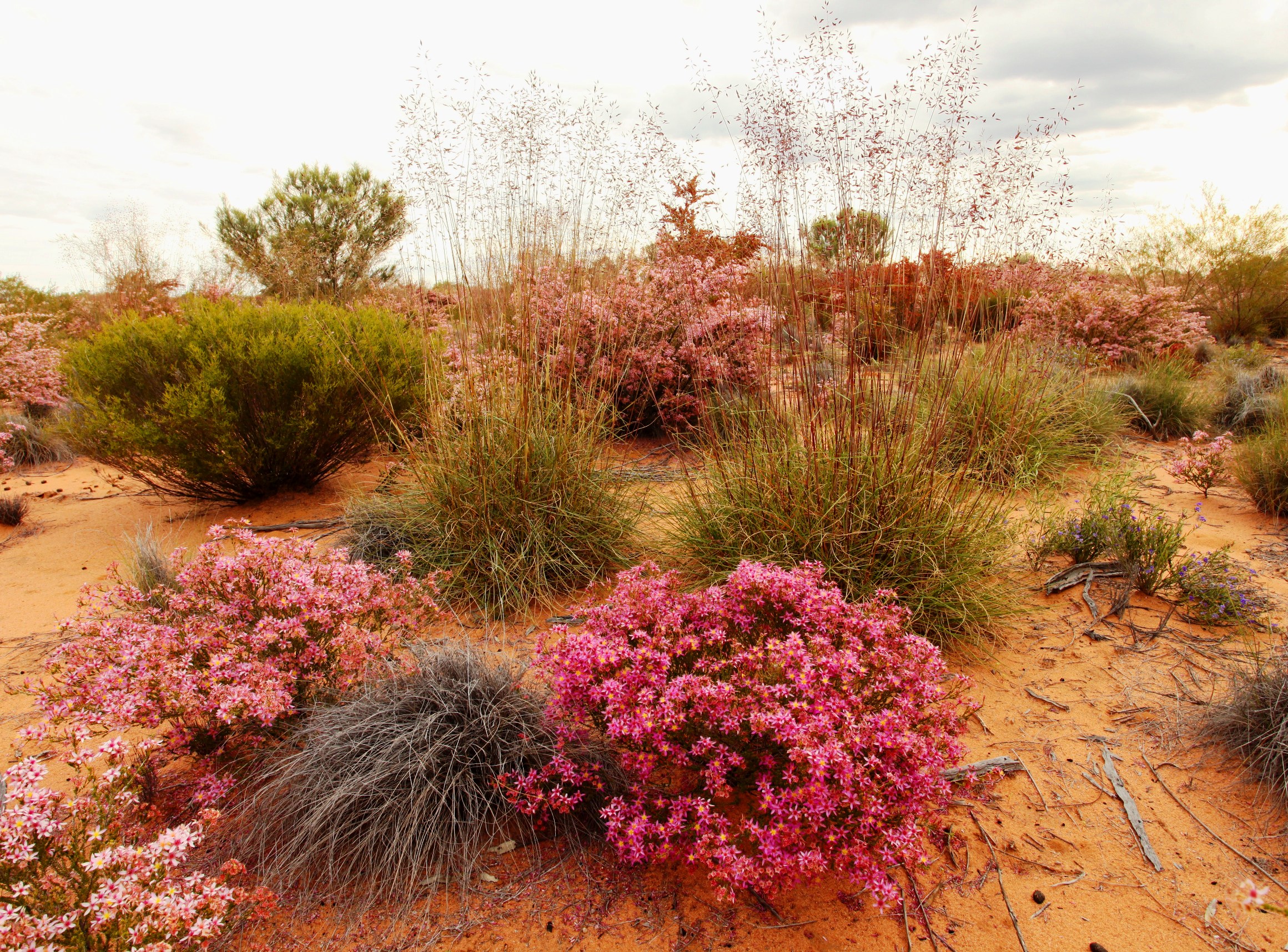 Cunnamulla Camping As Featured Farmer Wants A Wife Charlotte Plains cunnamulla-camping-as-featured-farmer-wants-a-wife-charlotte-plains