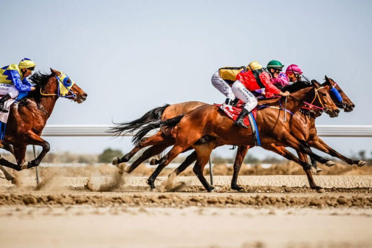 Birdsville Races - Charlotte Plains