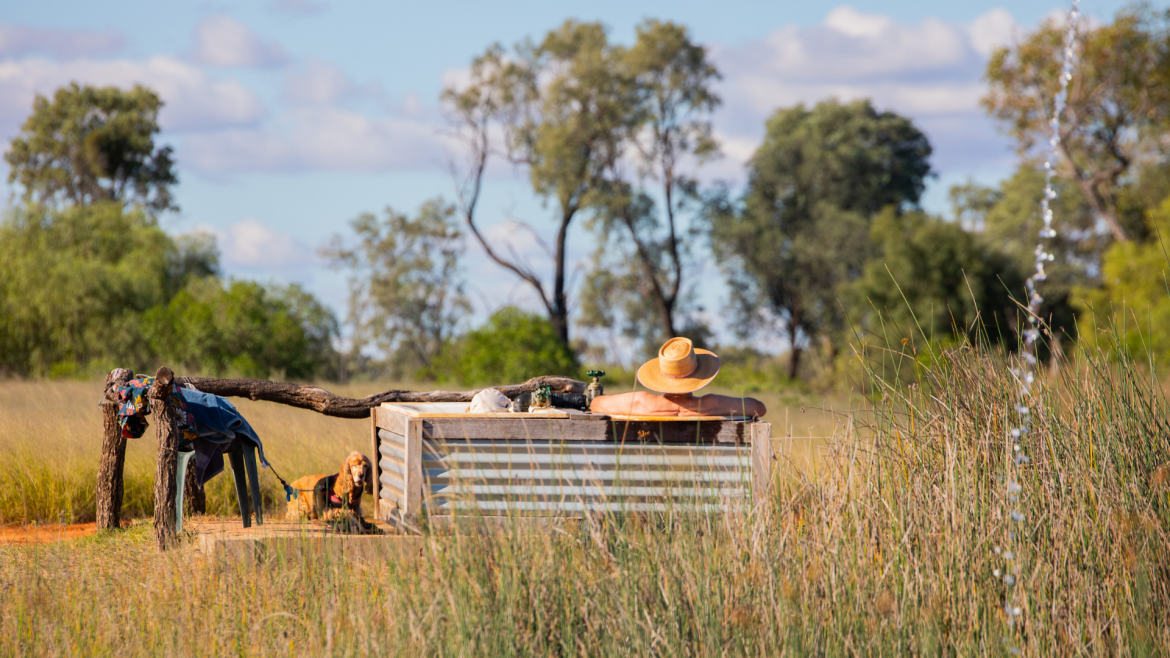 Outback Hot Artesian Bathing and Camping - Charlotte Plains